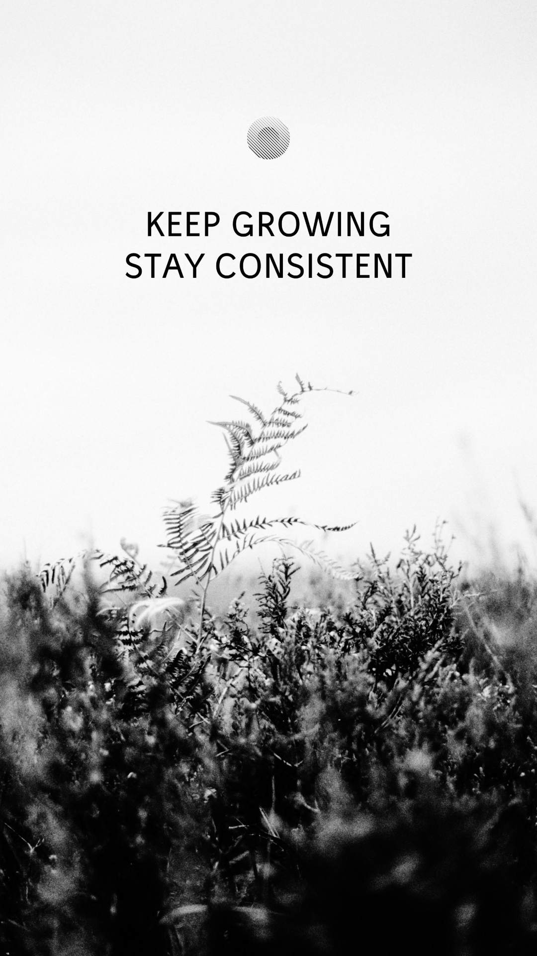 White Text Black Background - Pippit