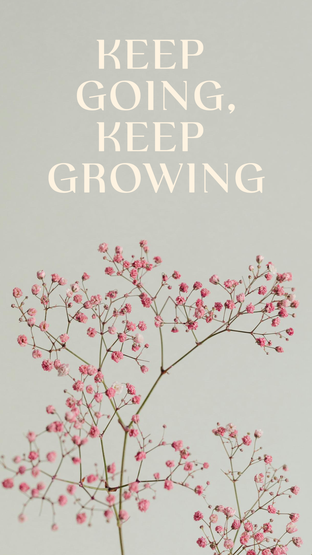 White Text Black Background - Pippit